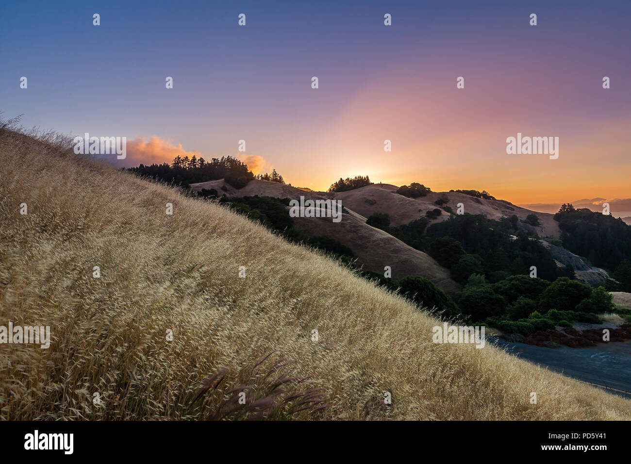 Mount tamalpais state park hi-res stock photography and images - Alamy
