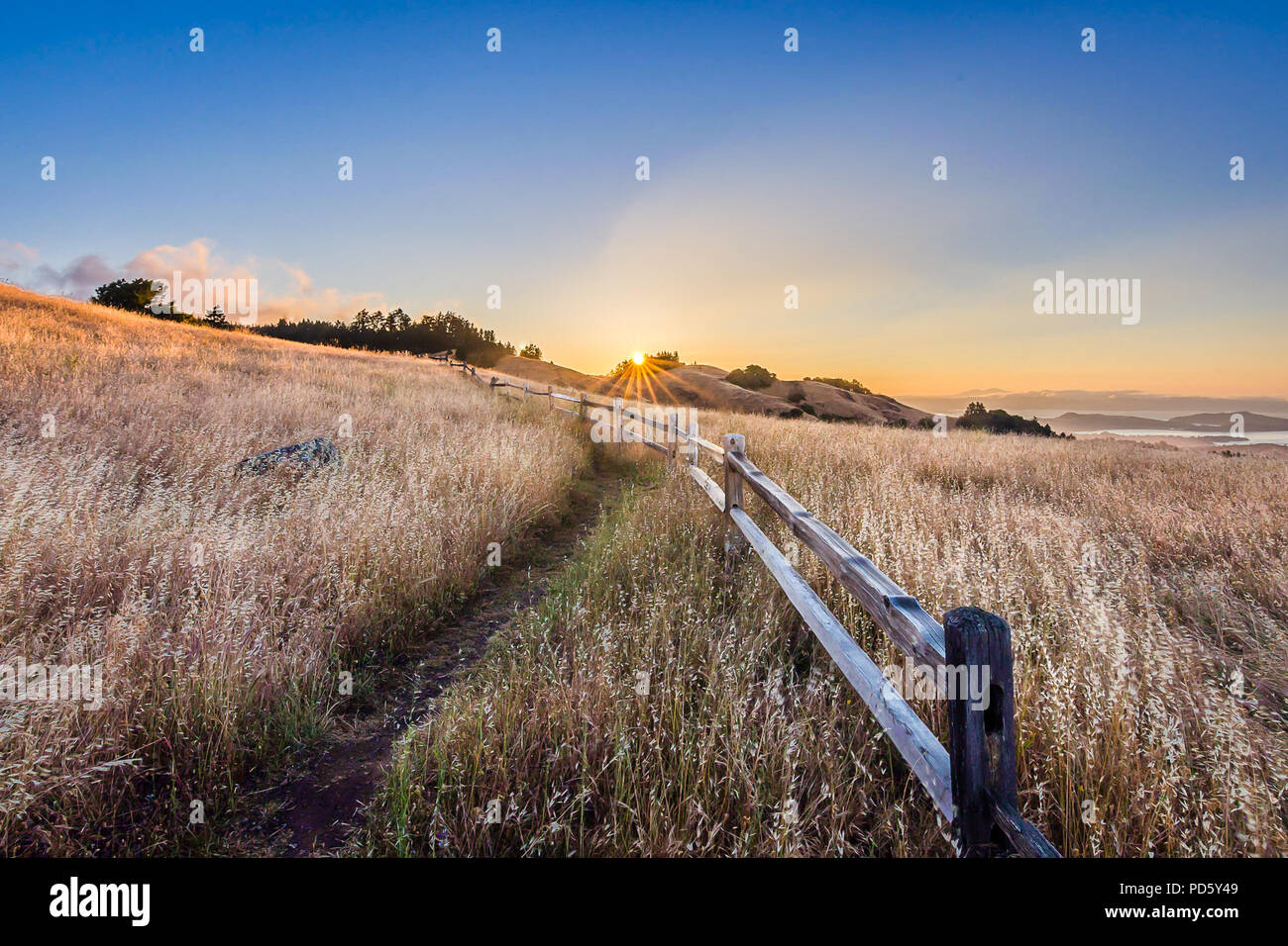 Mount tamalpais state park hi-res stock photography and images - Alamy