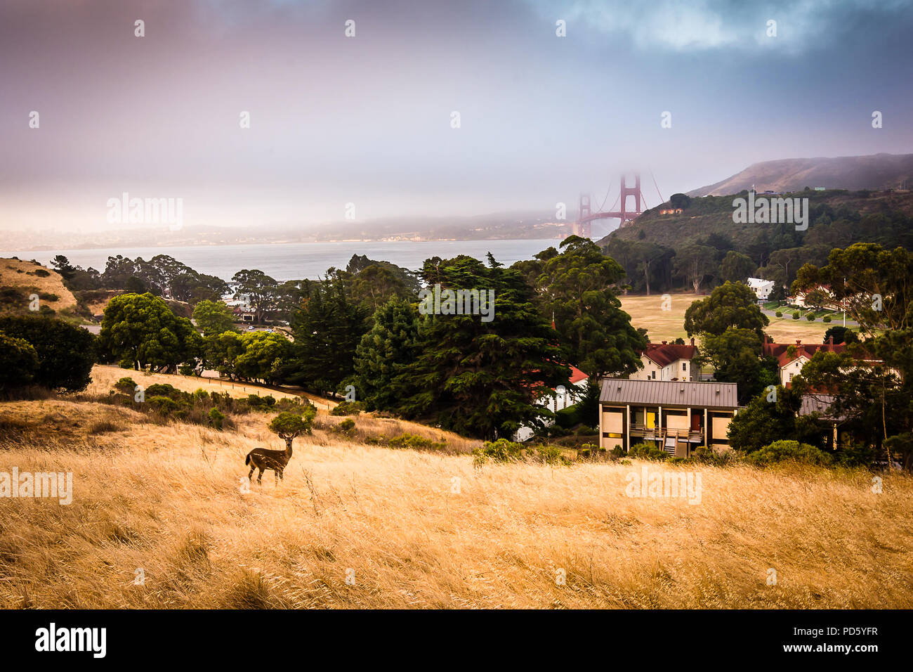 Chapel steps trail hi-res stock photography and images - Alamy
