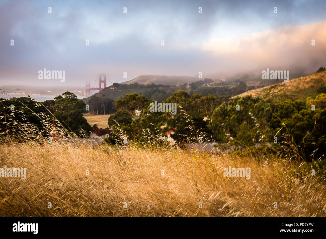 Chapel Steps Trail Stock Photo - Alamy