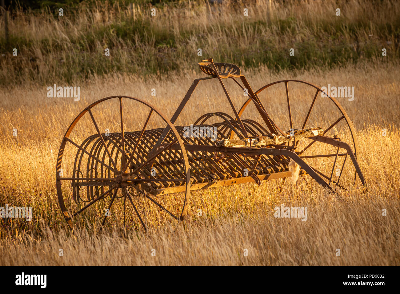 Antique hay rake in a farmers field at sunset Stock Photo - Alamy