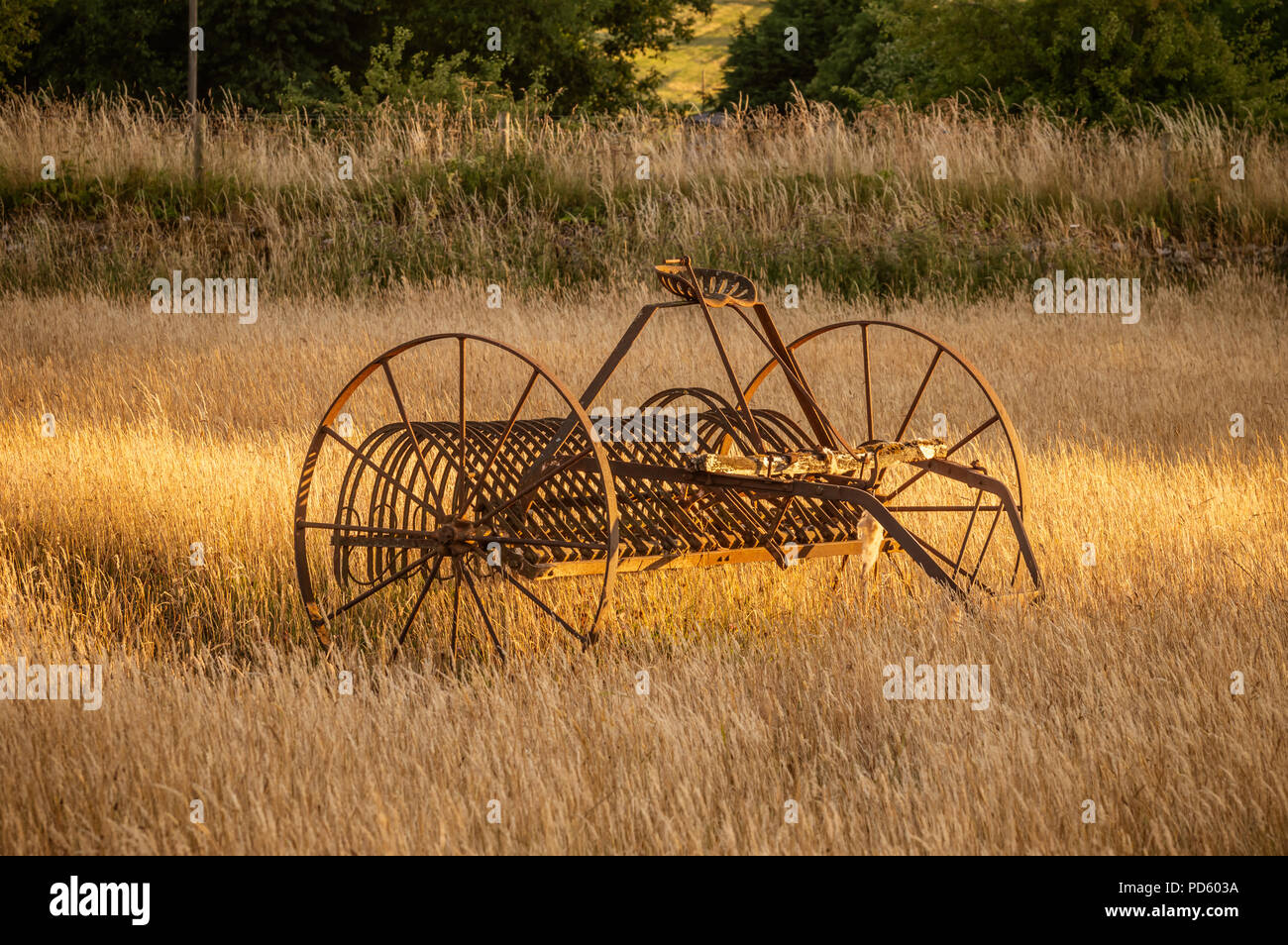 Antique hay rake in a farmers field at sunset Stock Photo - Alamy