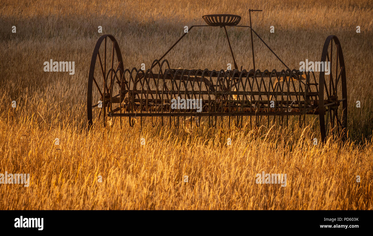 Antique hay rake in a farmers field at sunset Stock Photo - Alamy