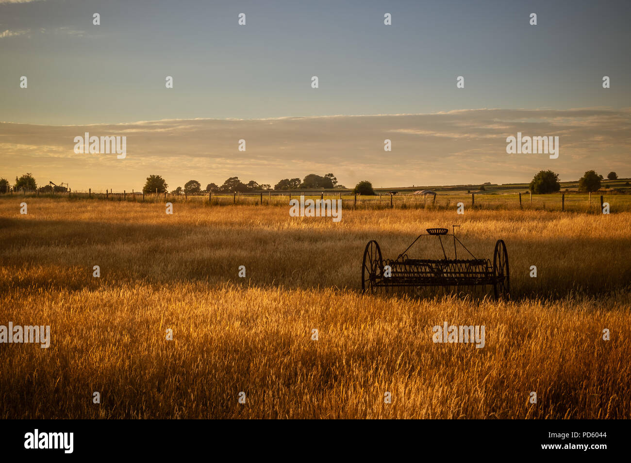 Farmers rake hi-res stock photography and images - Alamy
