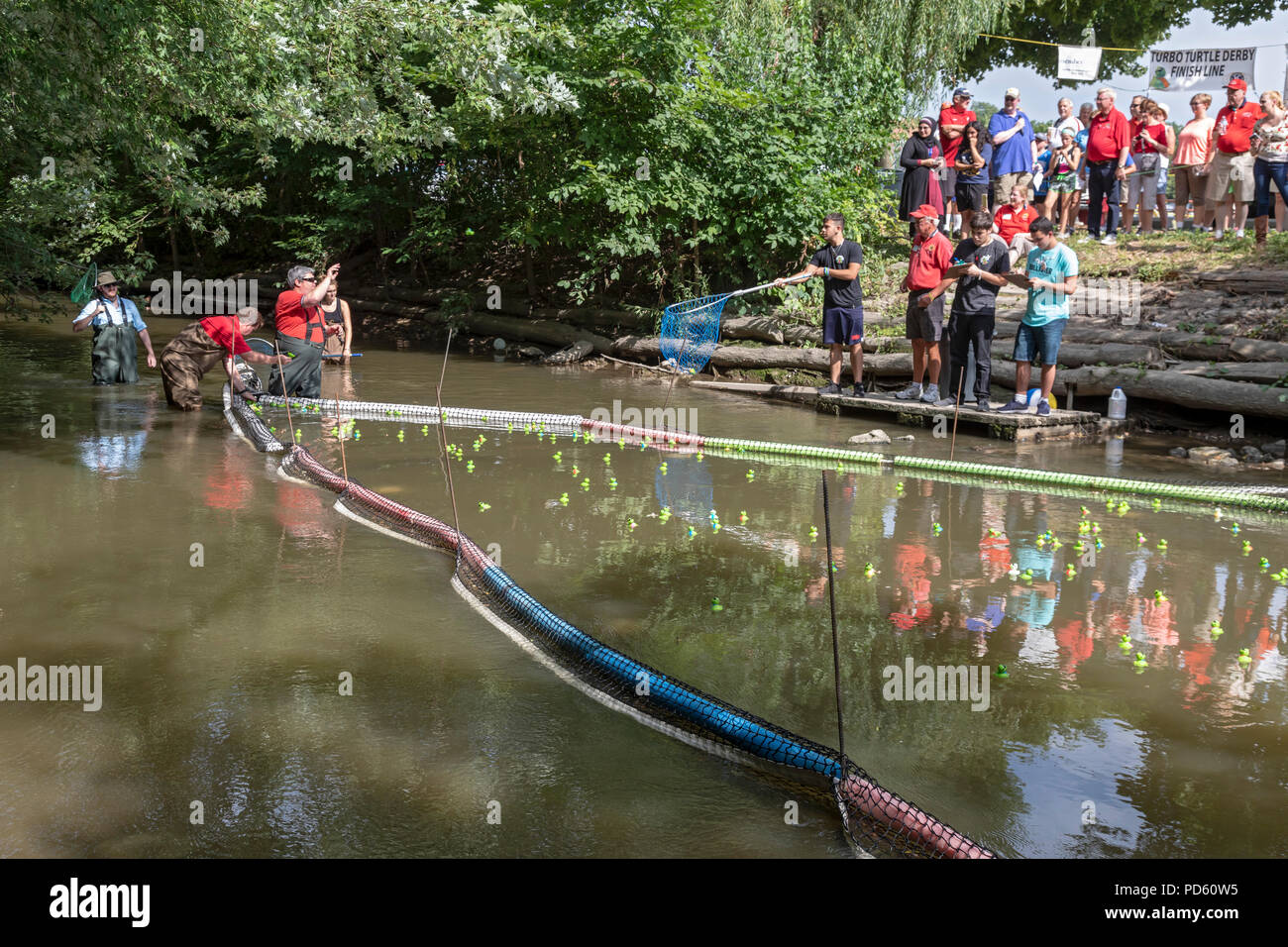 Turtle derby hi-res stock photography and images - Alamy