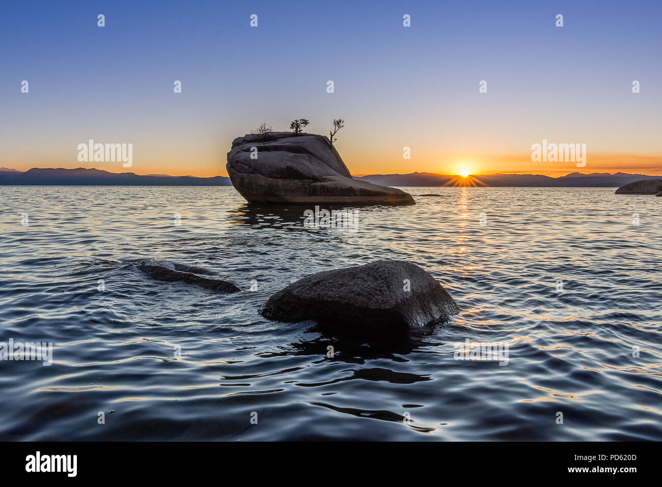 Bonsai lake tahoe hi-res stock photography and images - Alamy