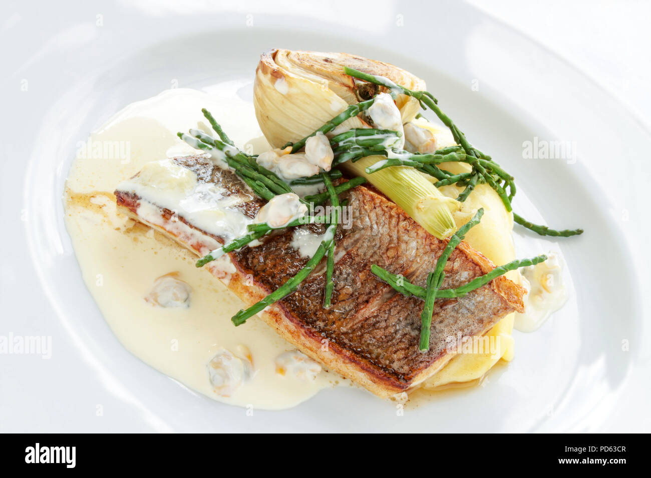 Plated sea bass meal hi-res stock photography and images - Alamy