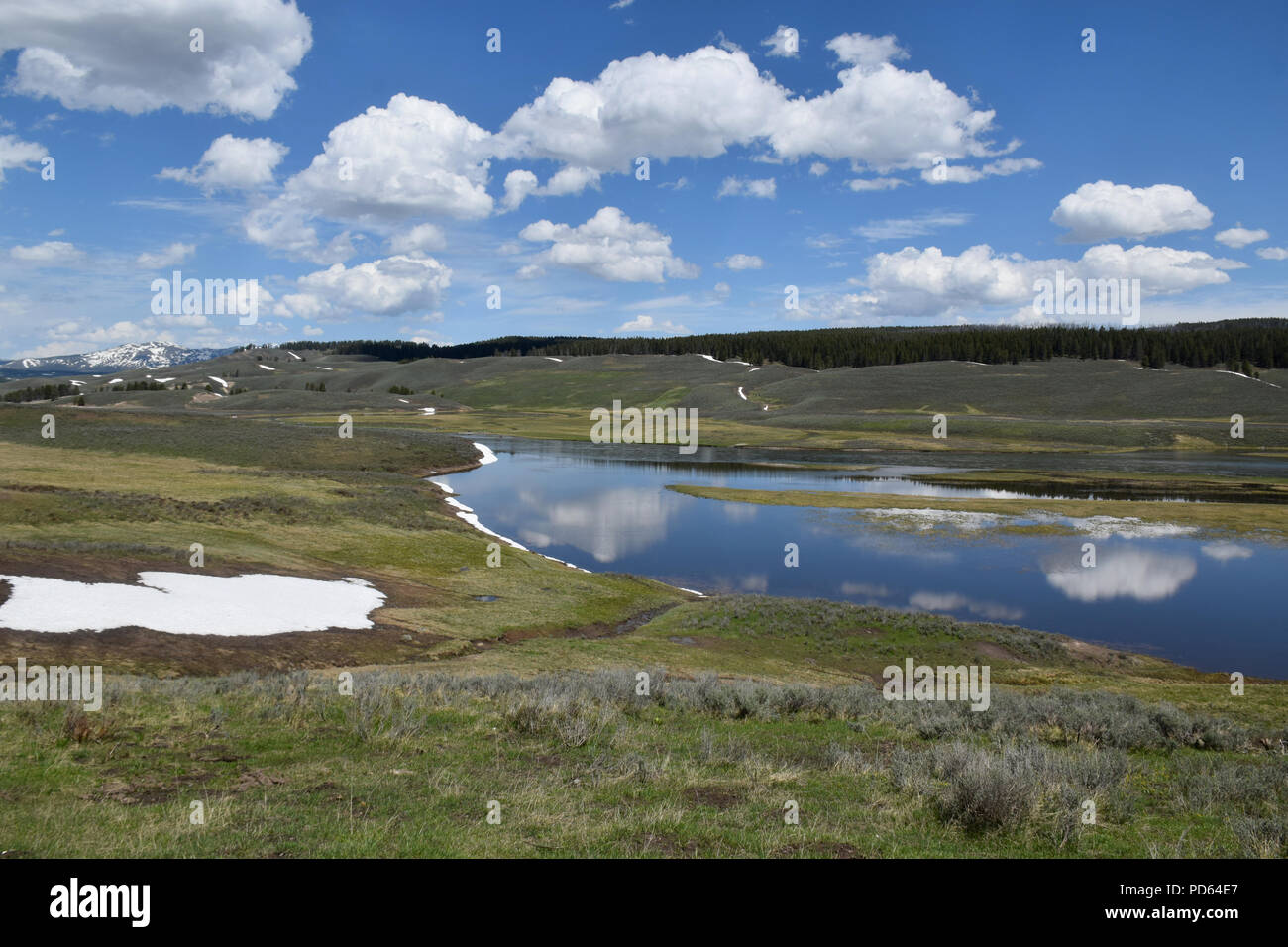 Yellowstone grass and mountains view hi-res stock photography and ...