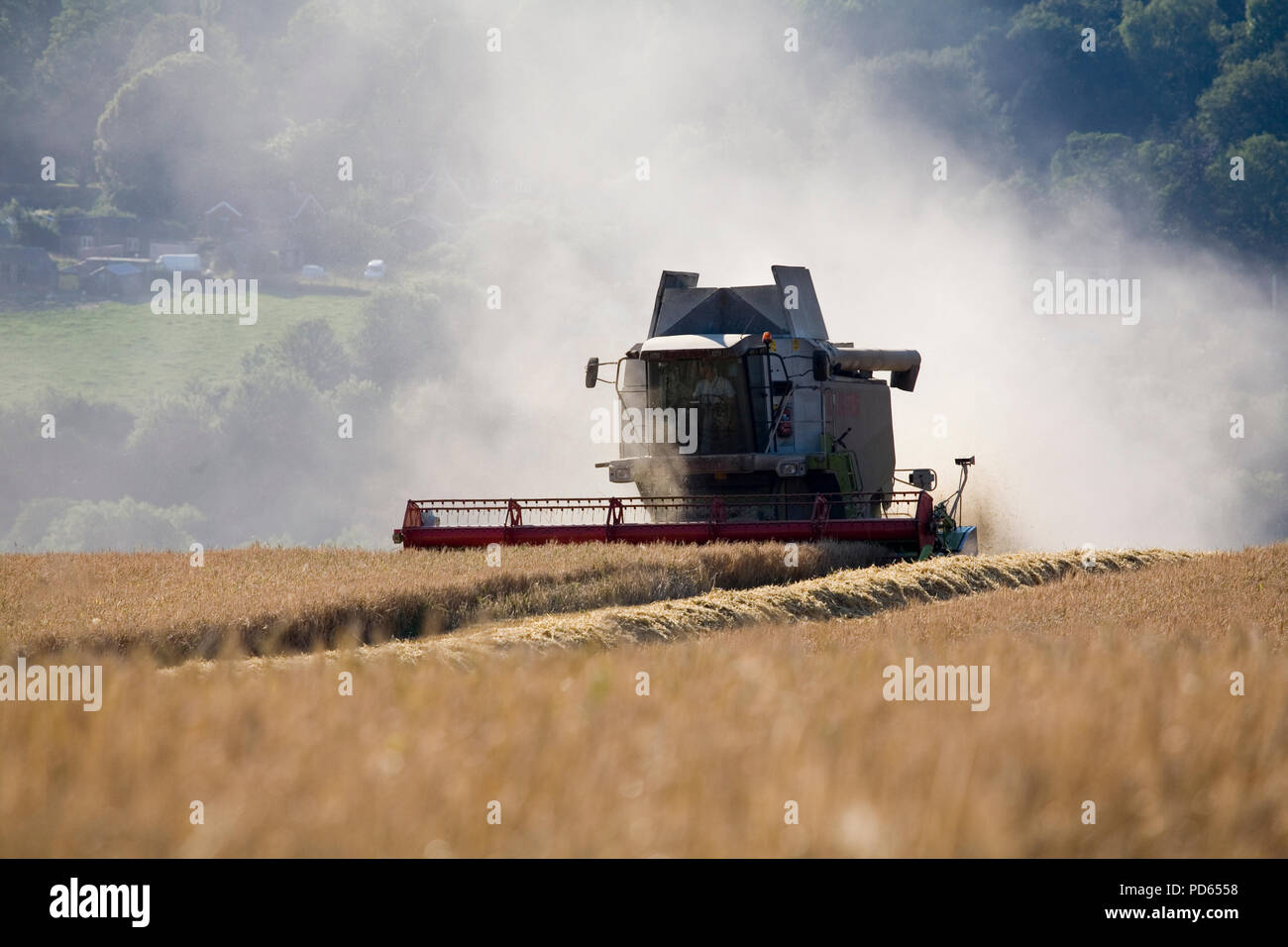 Combine harvester (Claas) harvesting barley, Midford Valley, Somerset ...