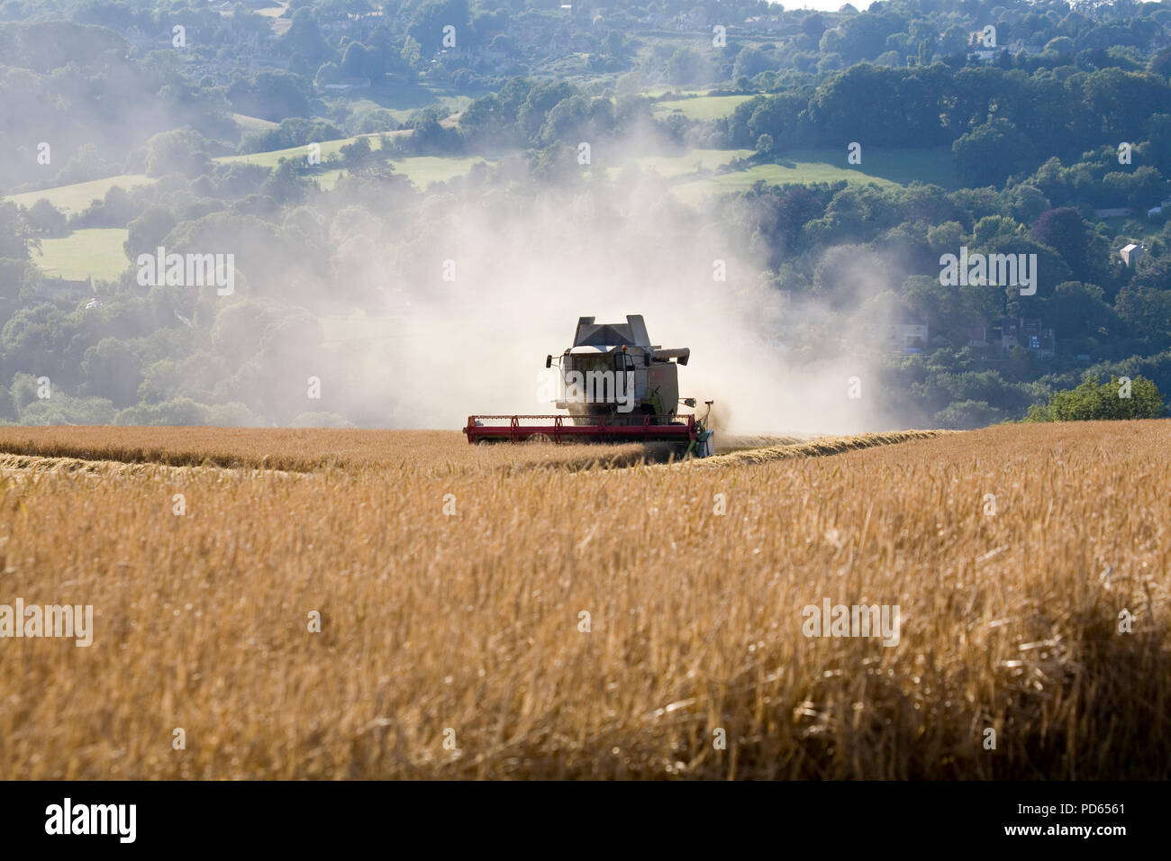 Combine harvester (Claas) harvesting barley, Midford Valley, Somerset ...