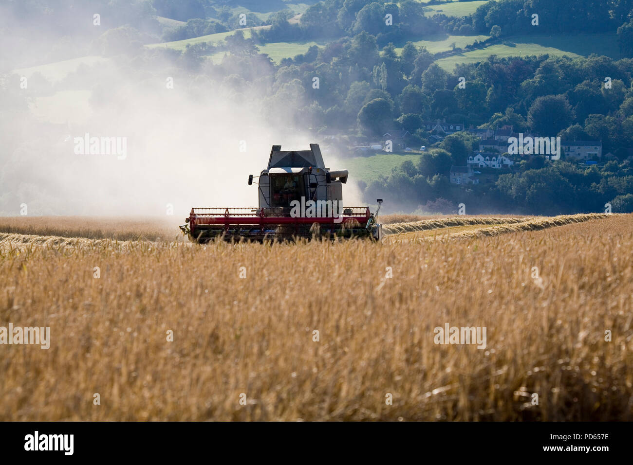 Combine harvester (Claas) harvesting barley, Midford Valley, Somerset ...