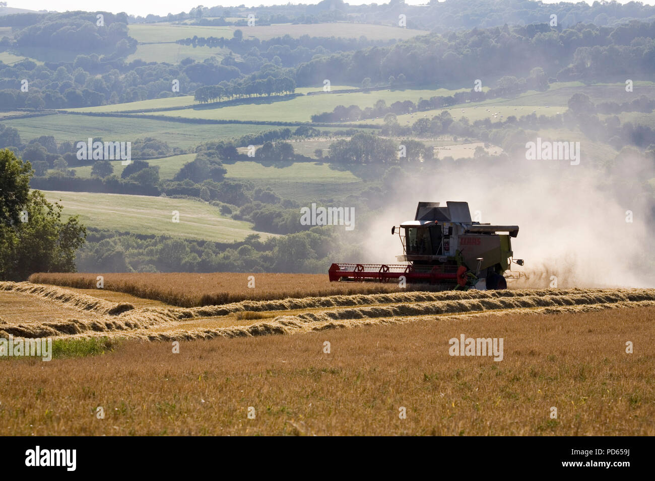 Combine harvester (Claas) harvesting barley, Midford Valley, Somerset ...