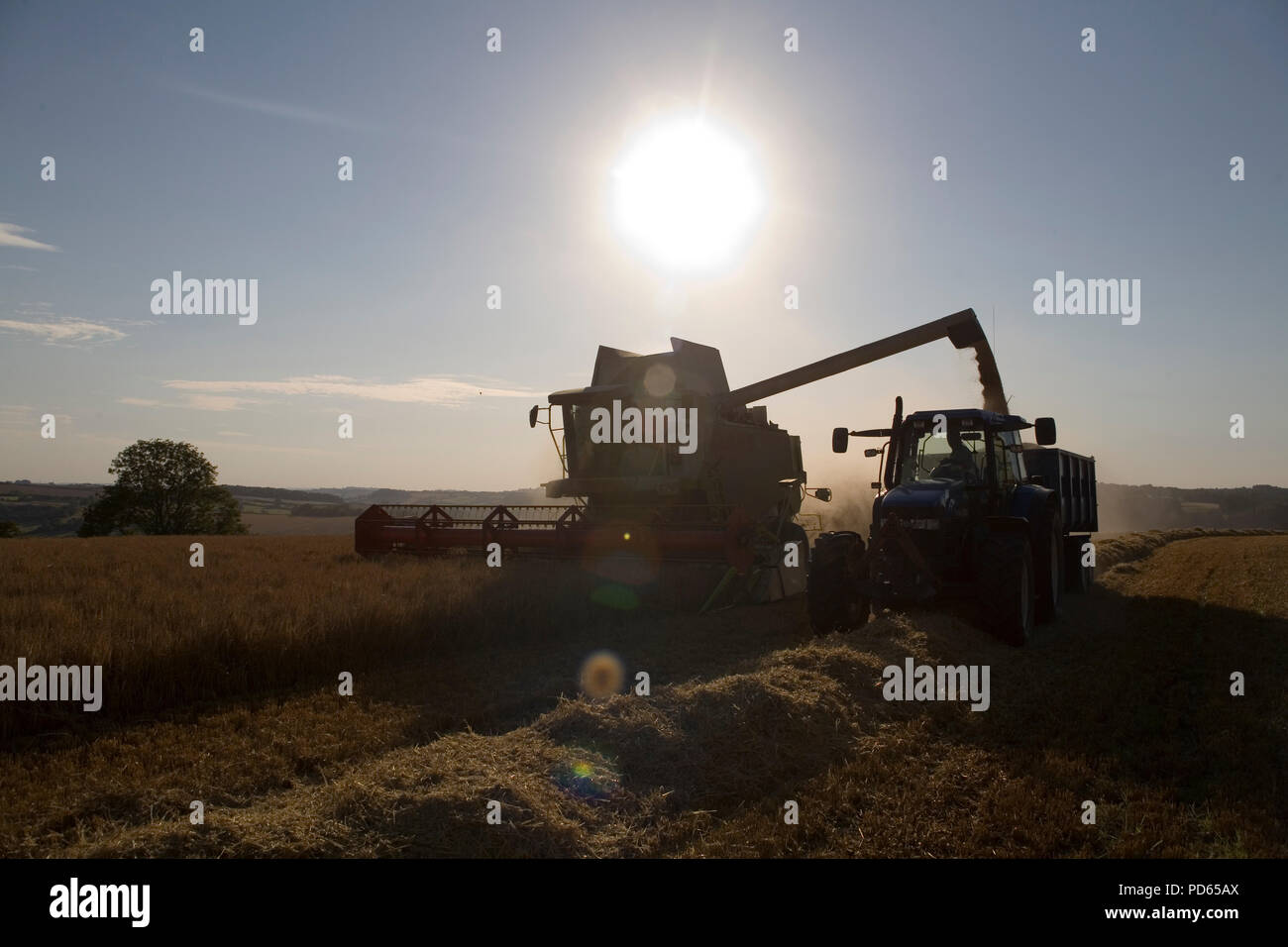 Combine harvester (Claas) unloading barley to trailer, Midford Valley ...