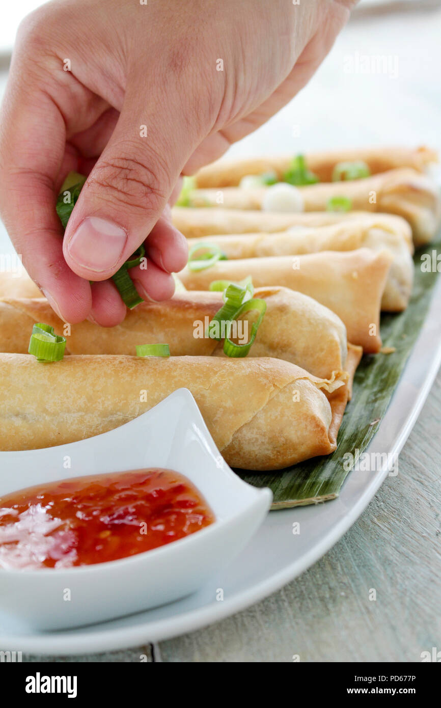 chinese spring roll appetizer Stock Photo - Alamy