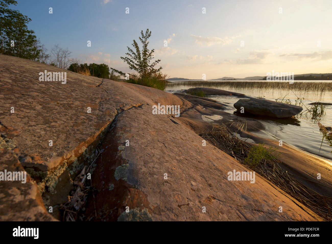 Canadian Shield In Summer