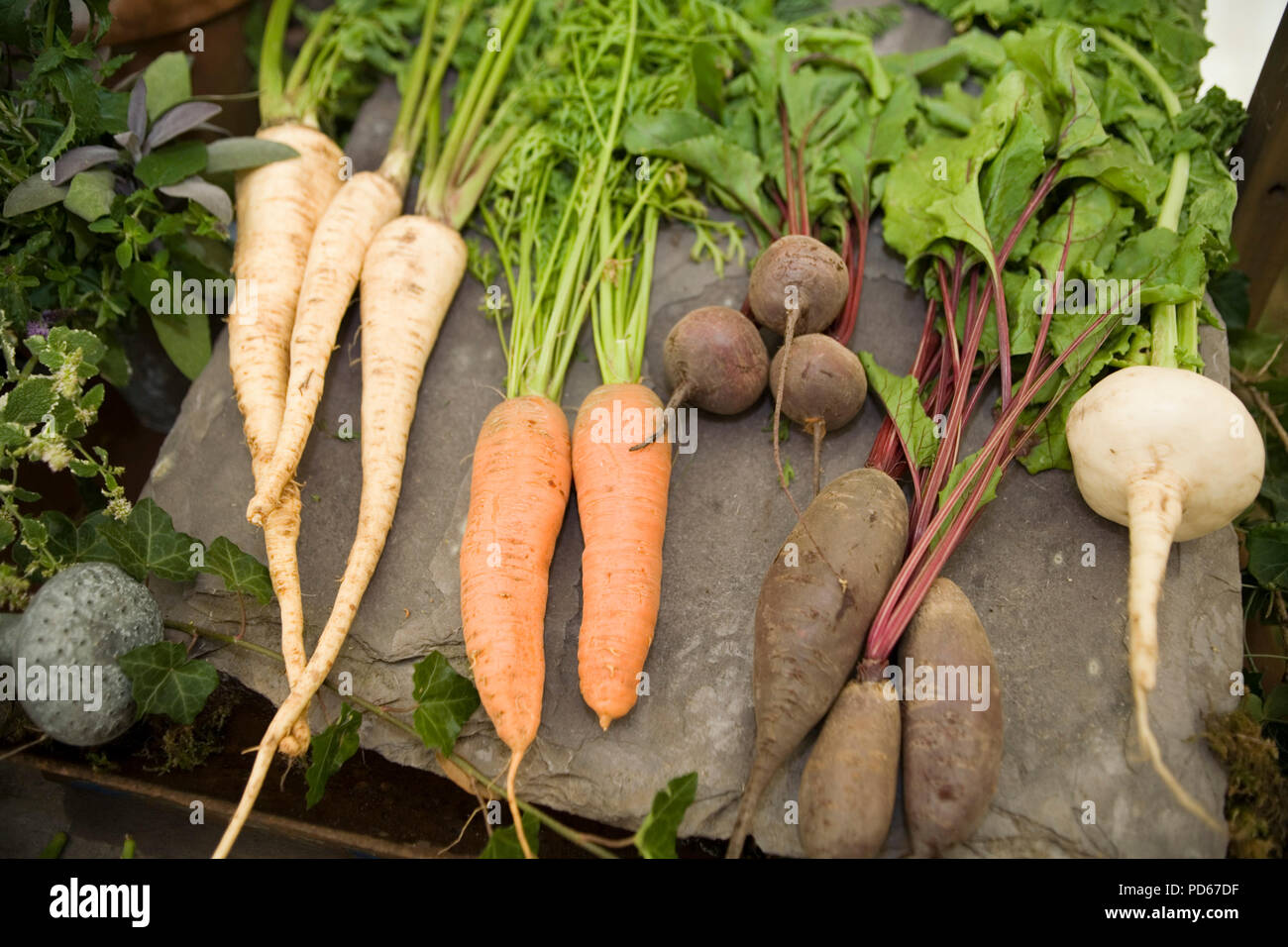 Root vegetables at vegetable show Stock Photo - Alamy