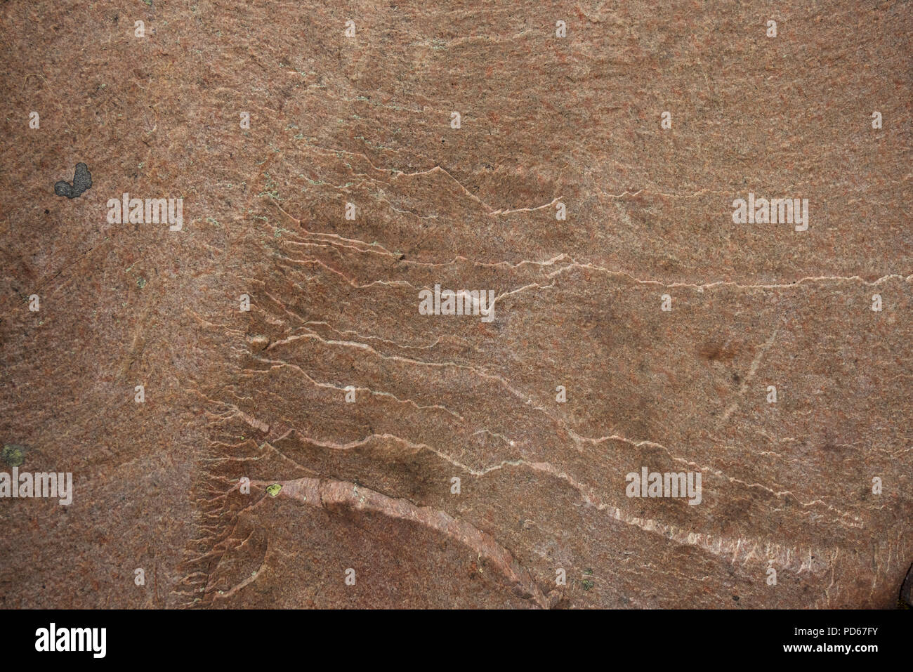 Pink granite of the Canadian Shield, typical of the bedrock in ...