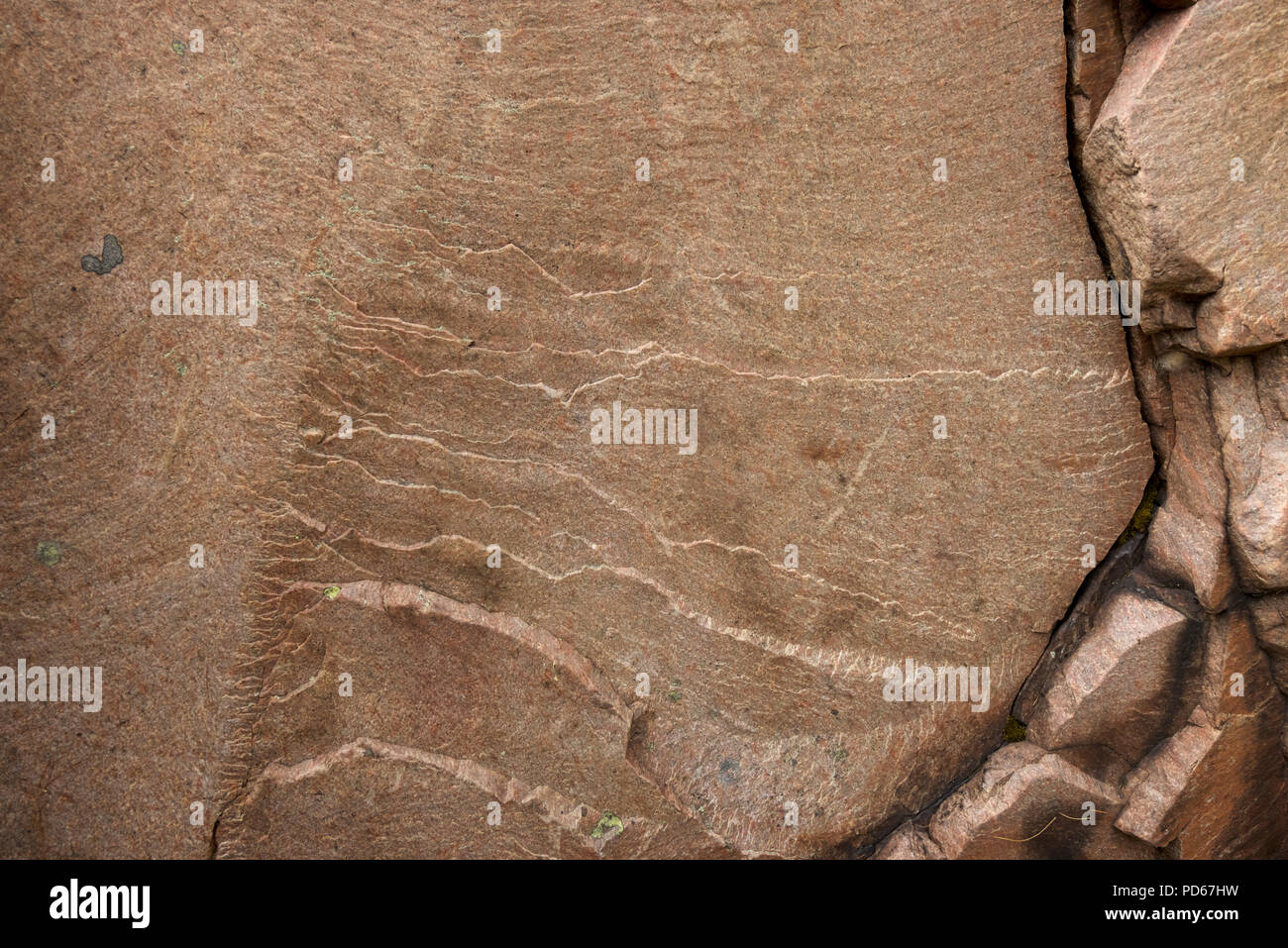 Pink granite of the Canadian Shield, typical of the bedrock in ...