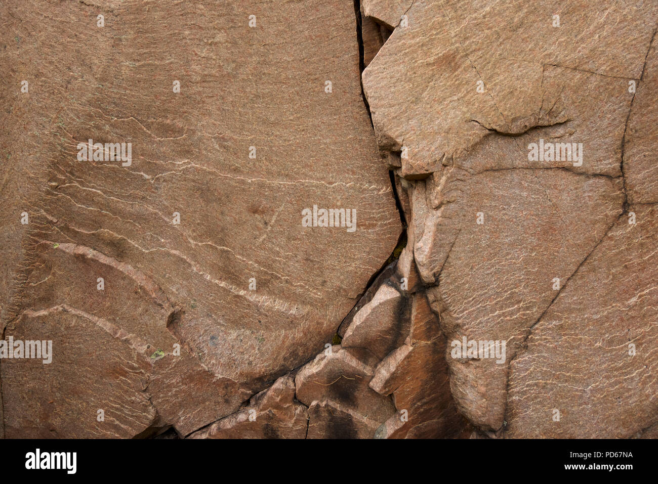 Pink granite of the Canadian Shield, typical of the bedrock in ...