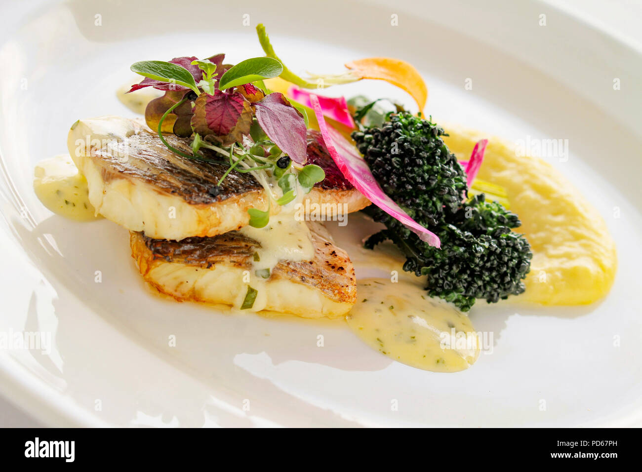 Healthy plated fish hi-res stock photography and images - Alamy