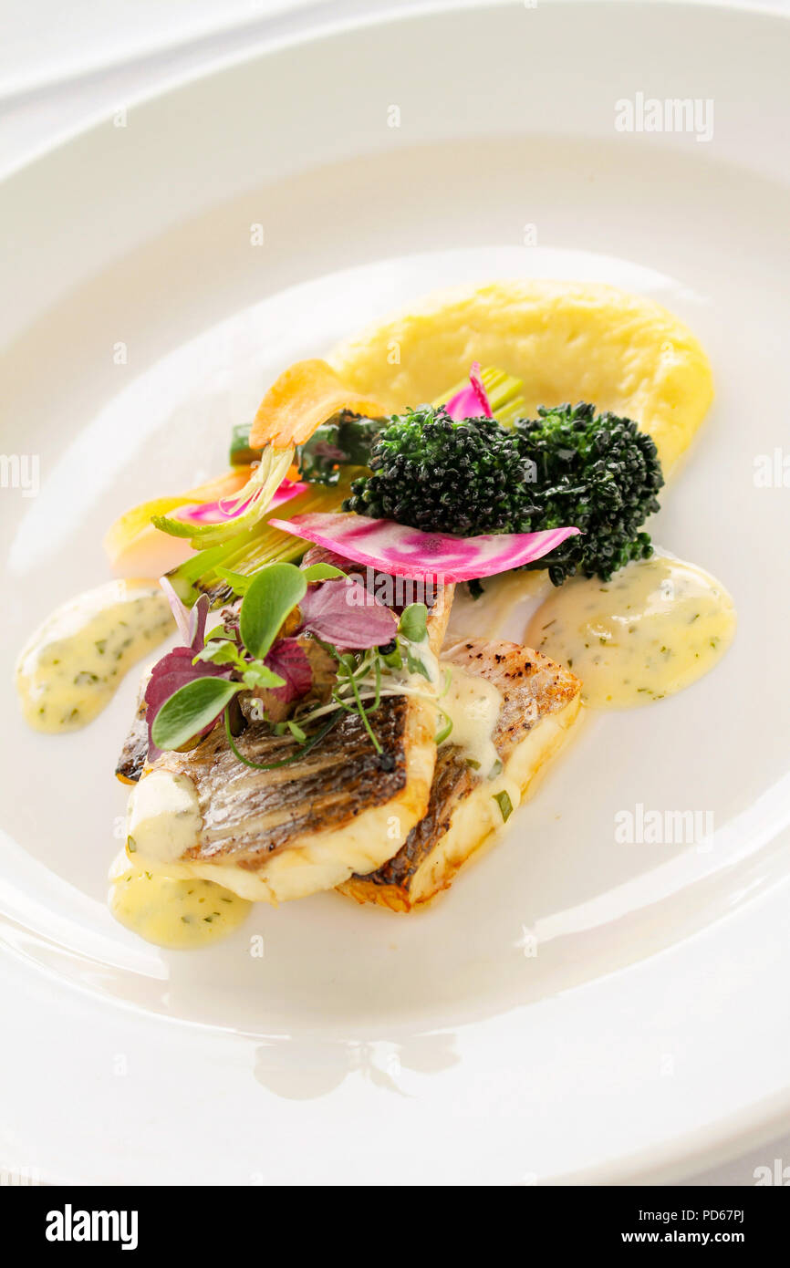 Plated sea bass meal hi-res stock photography and images - Alamy
