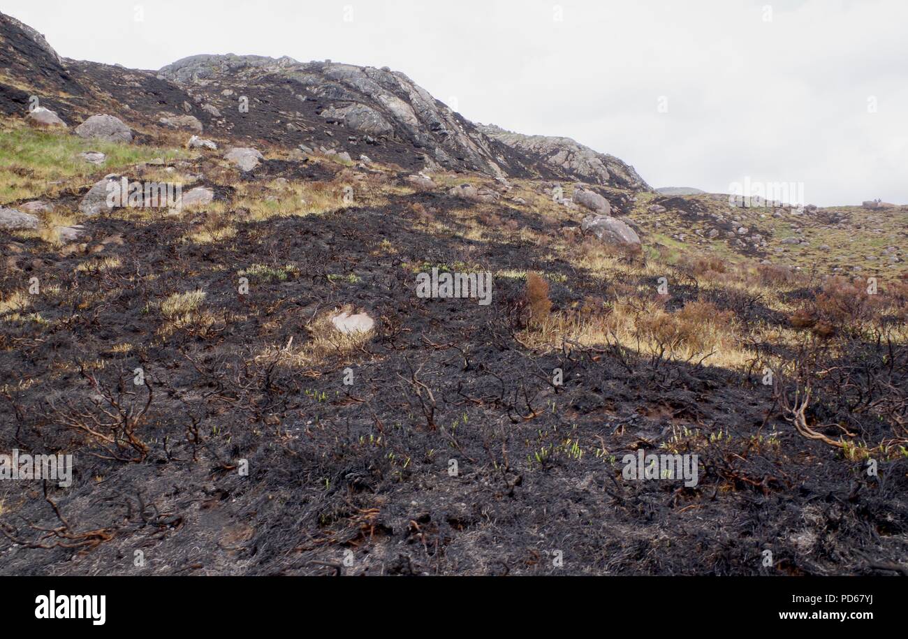 Wildfire scotland 2018 hi-res stock photography and images - Alamy