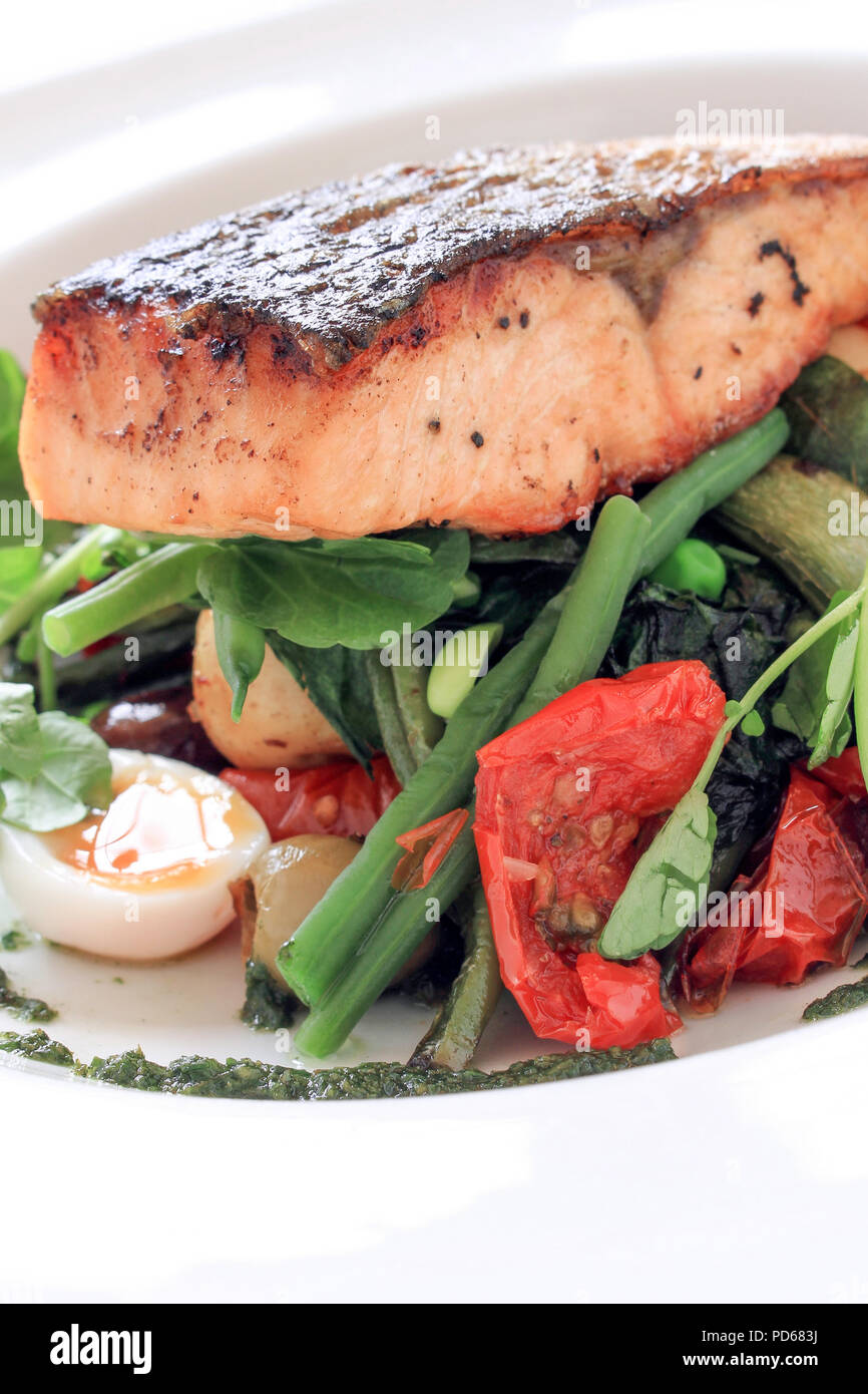 Plated salmon main hi-res stock photography and images - Alamy