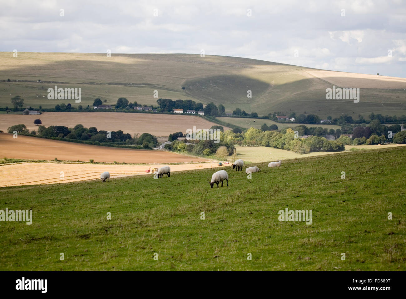 Longbridge deverill wiltshire hi-res stock photography and images - Alamy
