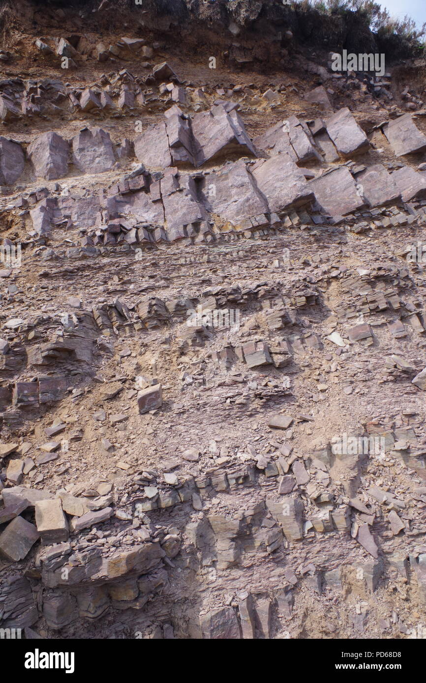 Stratigraphic Succession of Lithified River Sediment in a Road Cutting ...