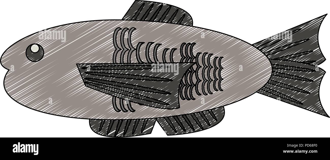 Fish seafood isolated scribble Stock Vector Image & Art - Alamy