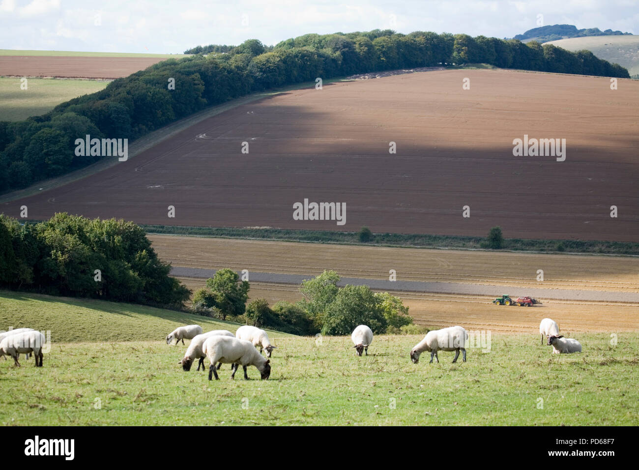Longbridge deverill wiltshire hi-res stock photography and images - Alamy