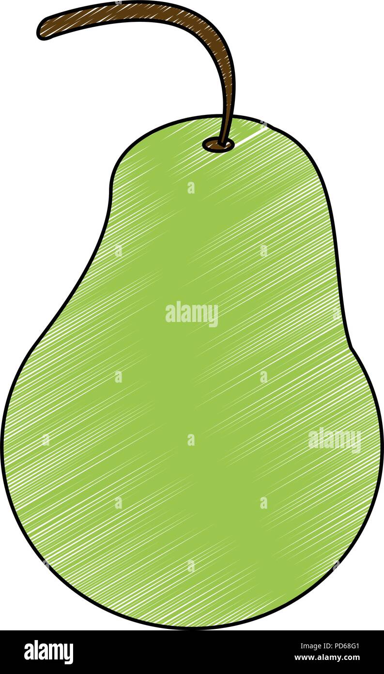 Pear fruit isolated scribble Stock Vector Image & Art - Alamy