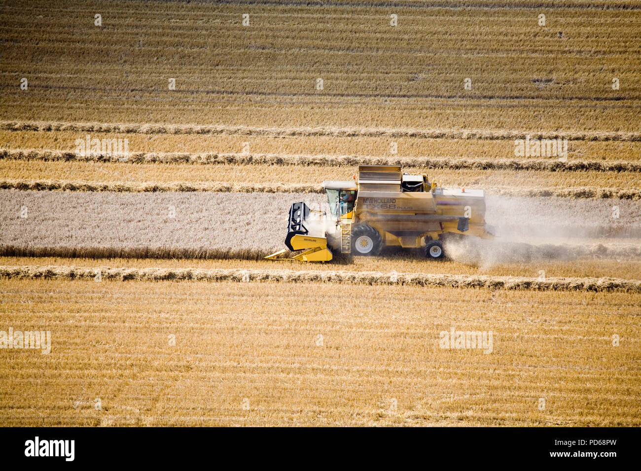 Longbridge Deverill, cereal harvesting Stock Photo - Alamy