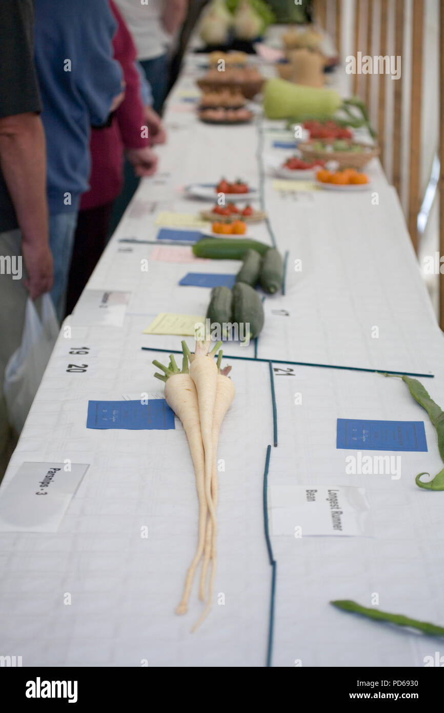 Prize award cards hi-res stock photography and images - Alamy