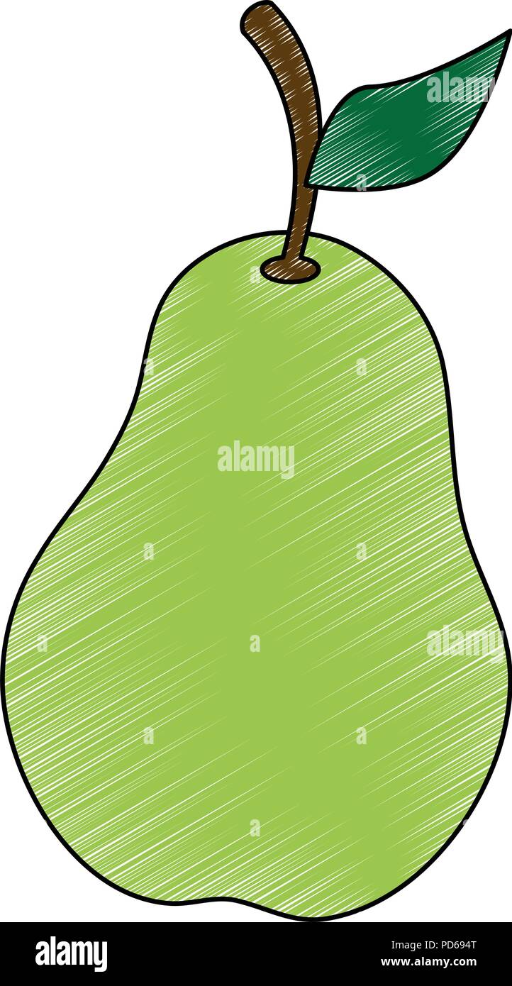 Pear fruit isolated scribble Stock Vector Image & Art - Alamy