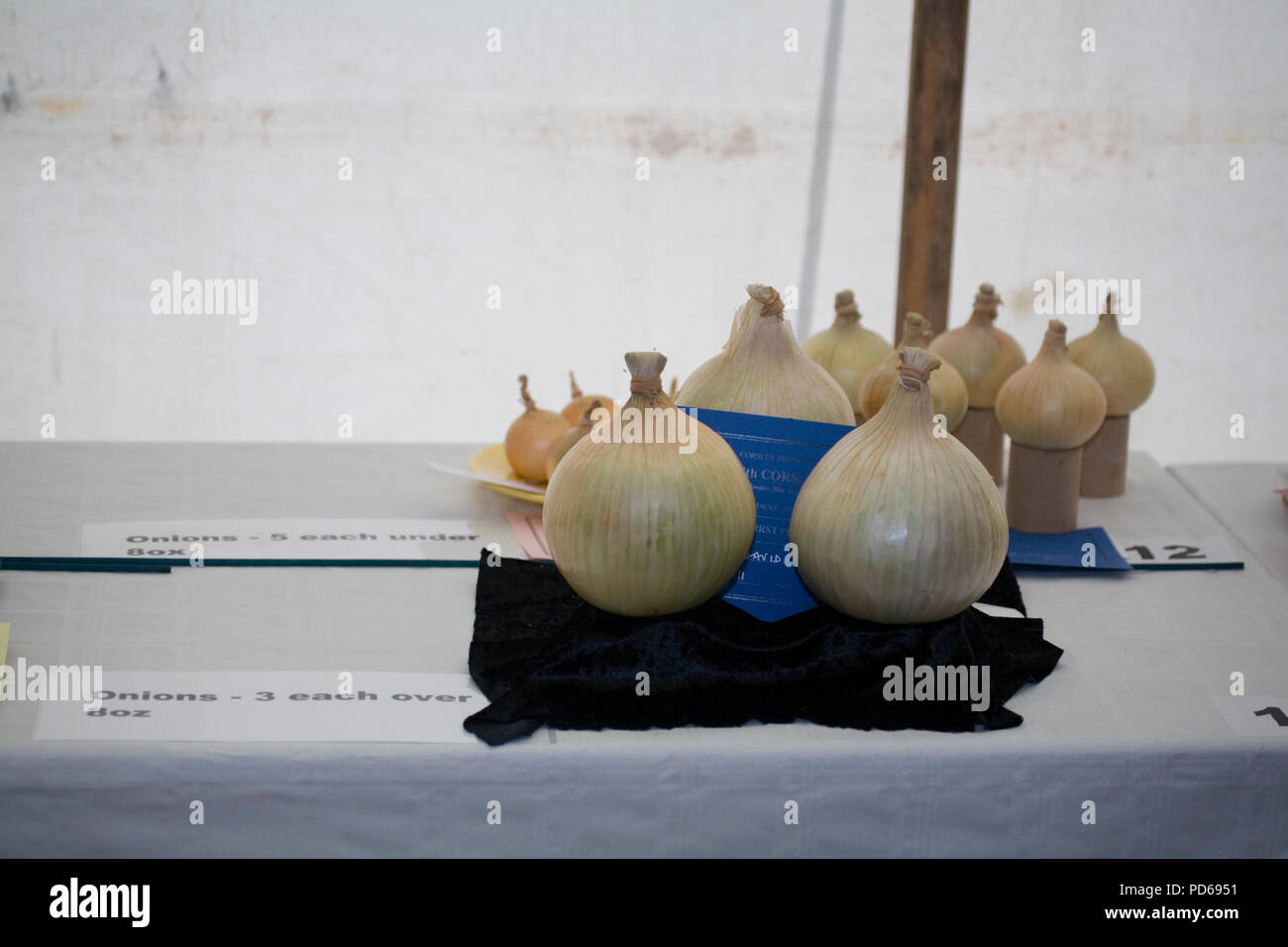 Prize winning onions hi-res stock photography and images - Alamy
