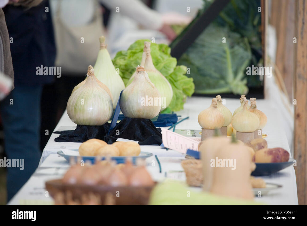 Onion display show hi-res stock photography and images - Alamy