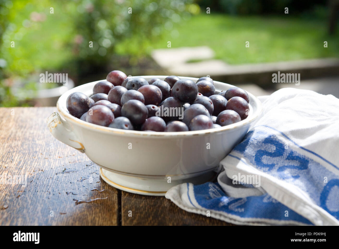 Whole damsons hi-res stock photography and images - Alamy