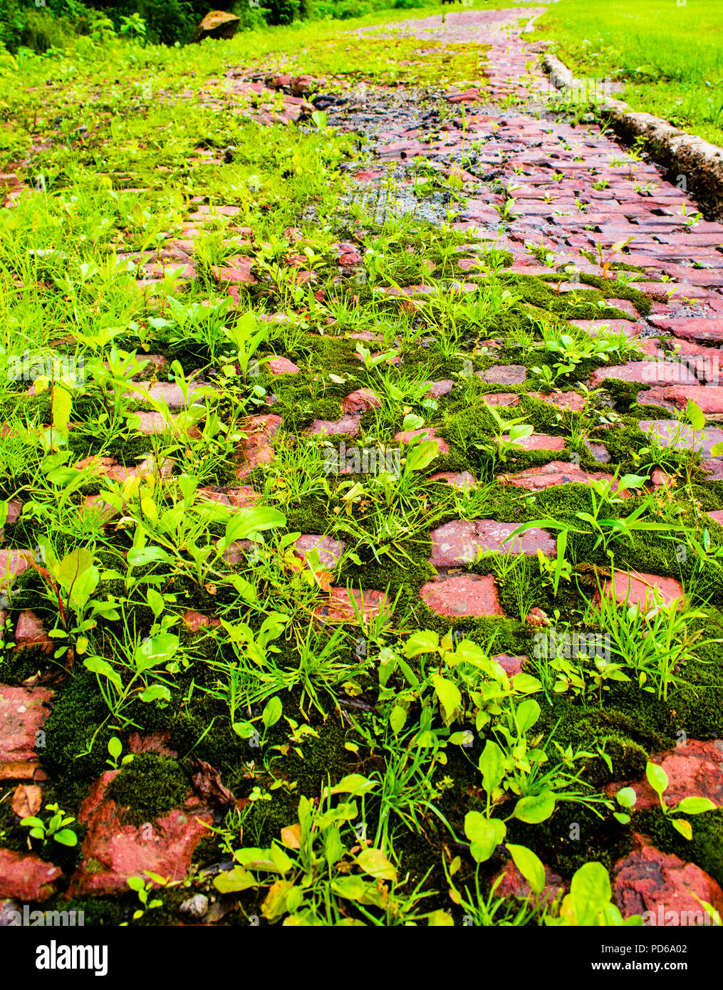 Old brick road hi-res stock photography and images - Alamy