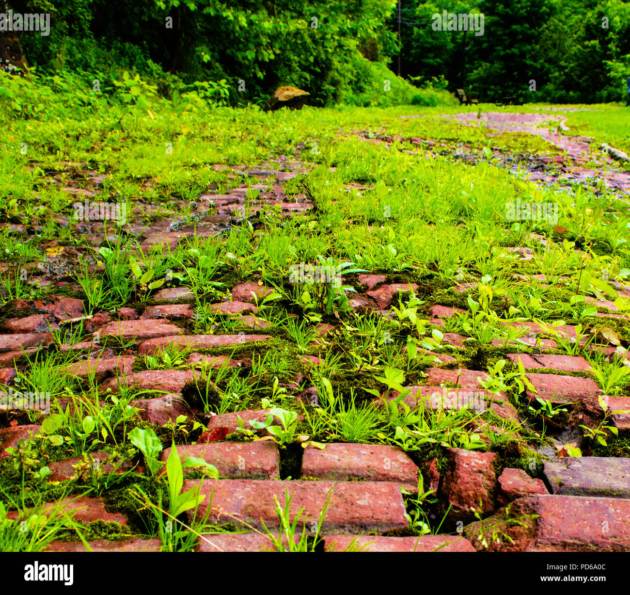 Old brick road hi-res stock photography and images - Alamy