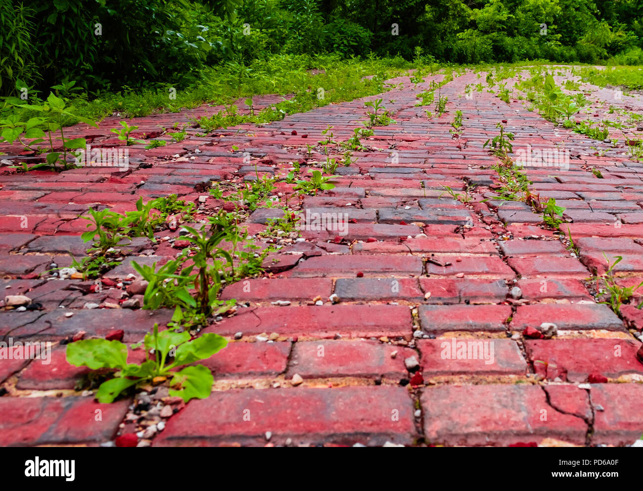 Old brick road hi-res stock photography and images - Alamy
