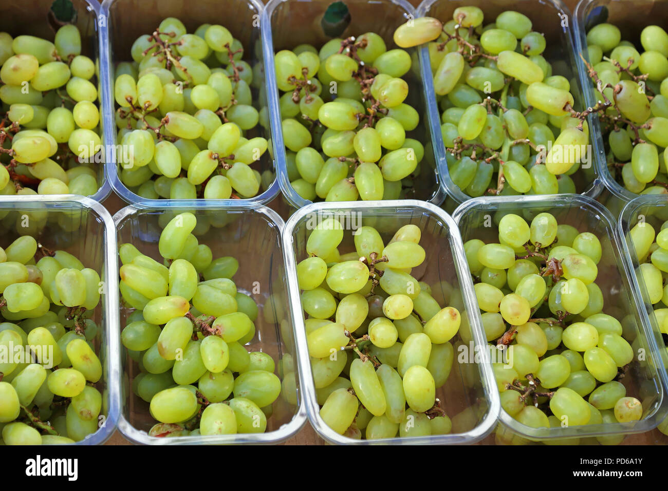 Seedless white grapes in plastic trays for sale Stock Photo - Alamy