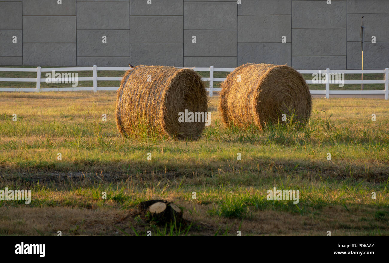 Round bales and fence hi-res stock photography and images - Alamy