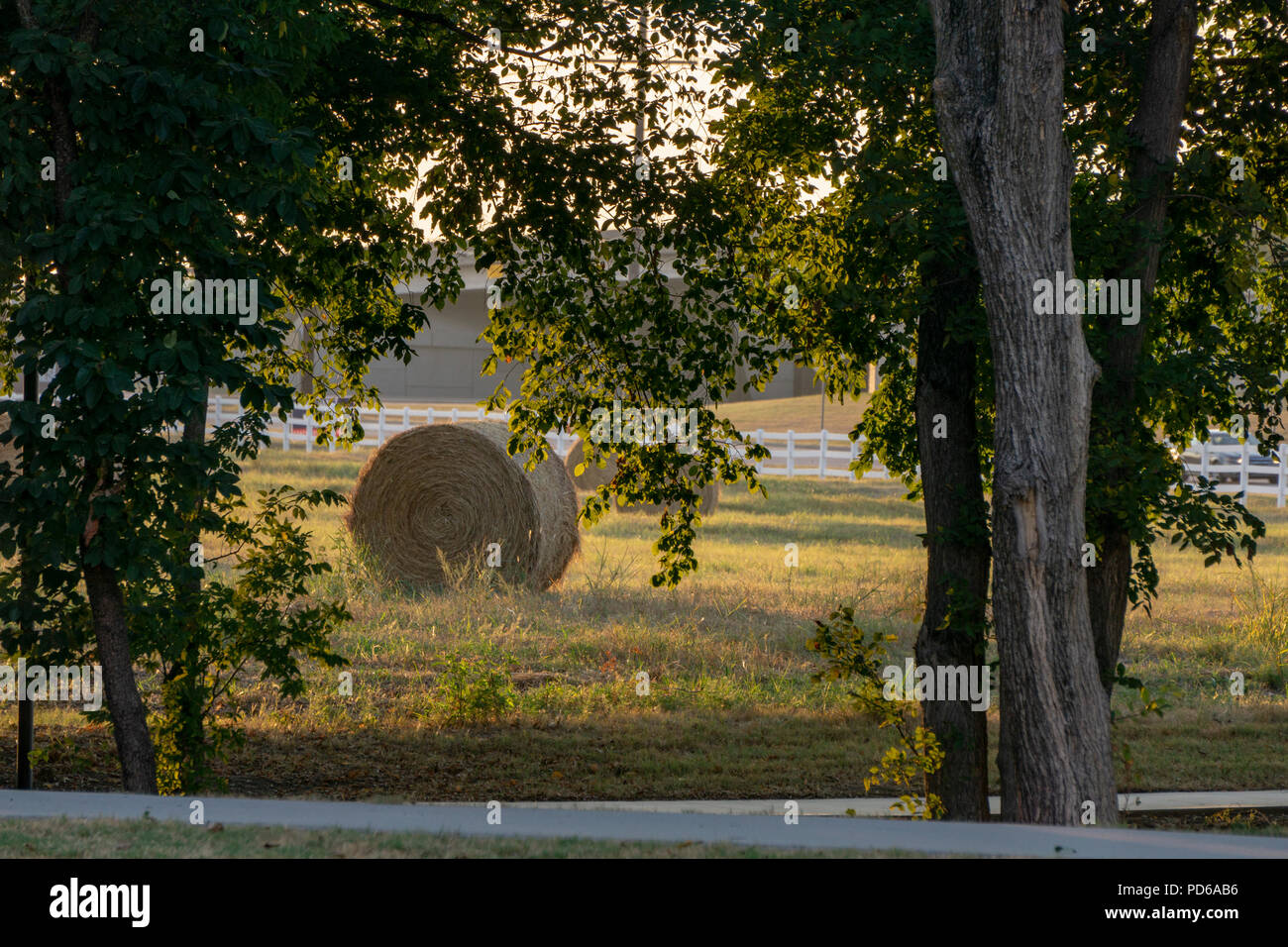 Hay bales in morning dawn hi-res stock photography and images - Alamy