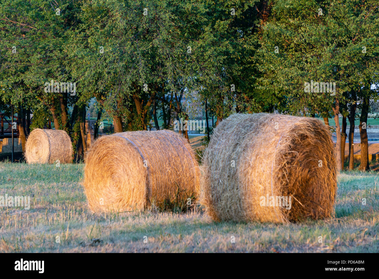 Hay bales in morning dawn hi-res stock photography and images - Alamy