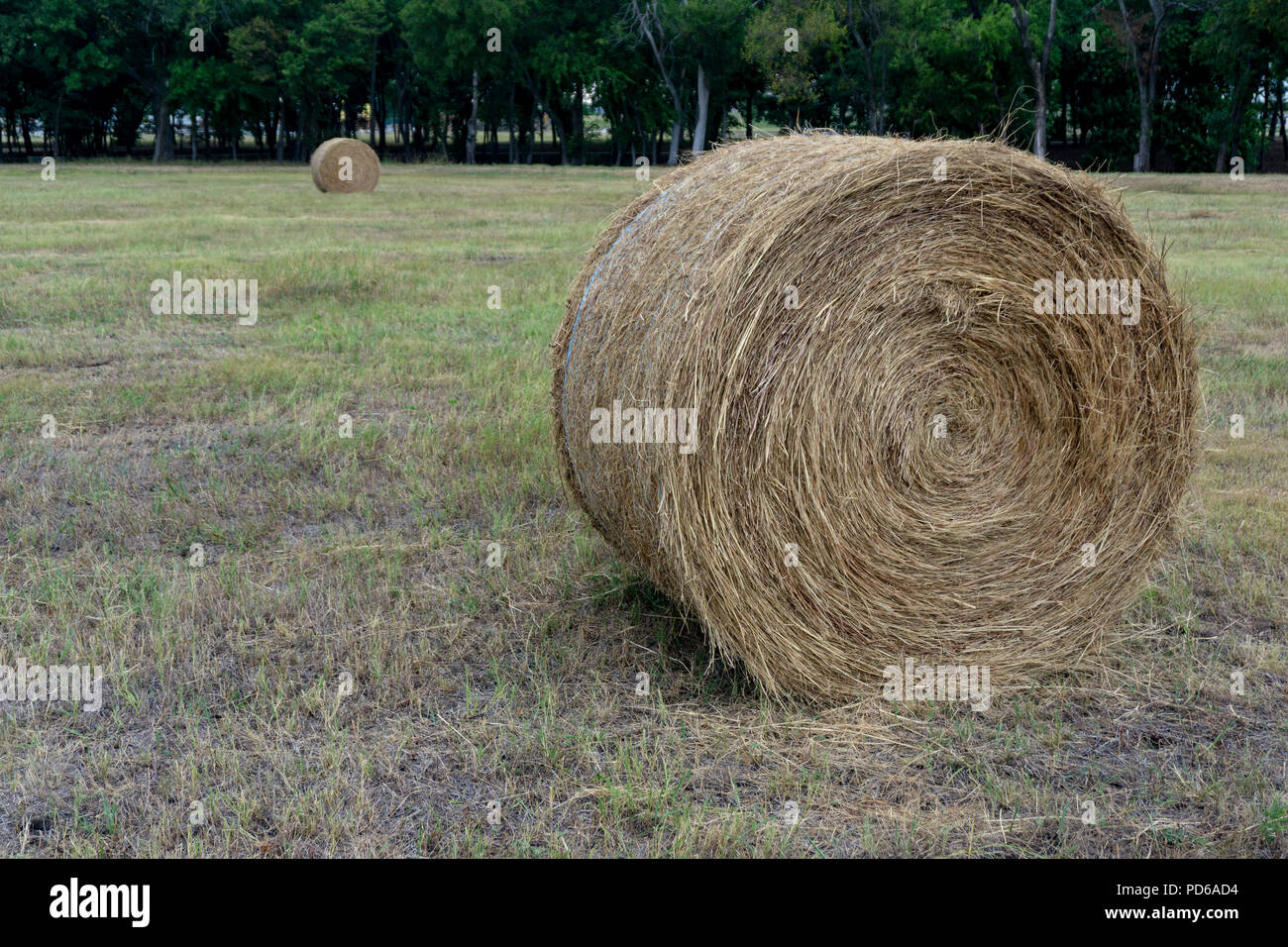 Dried hays hi-res stock photography and images - Alamy
