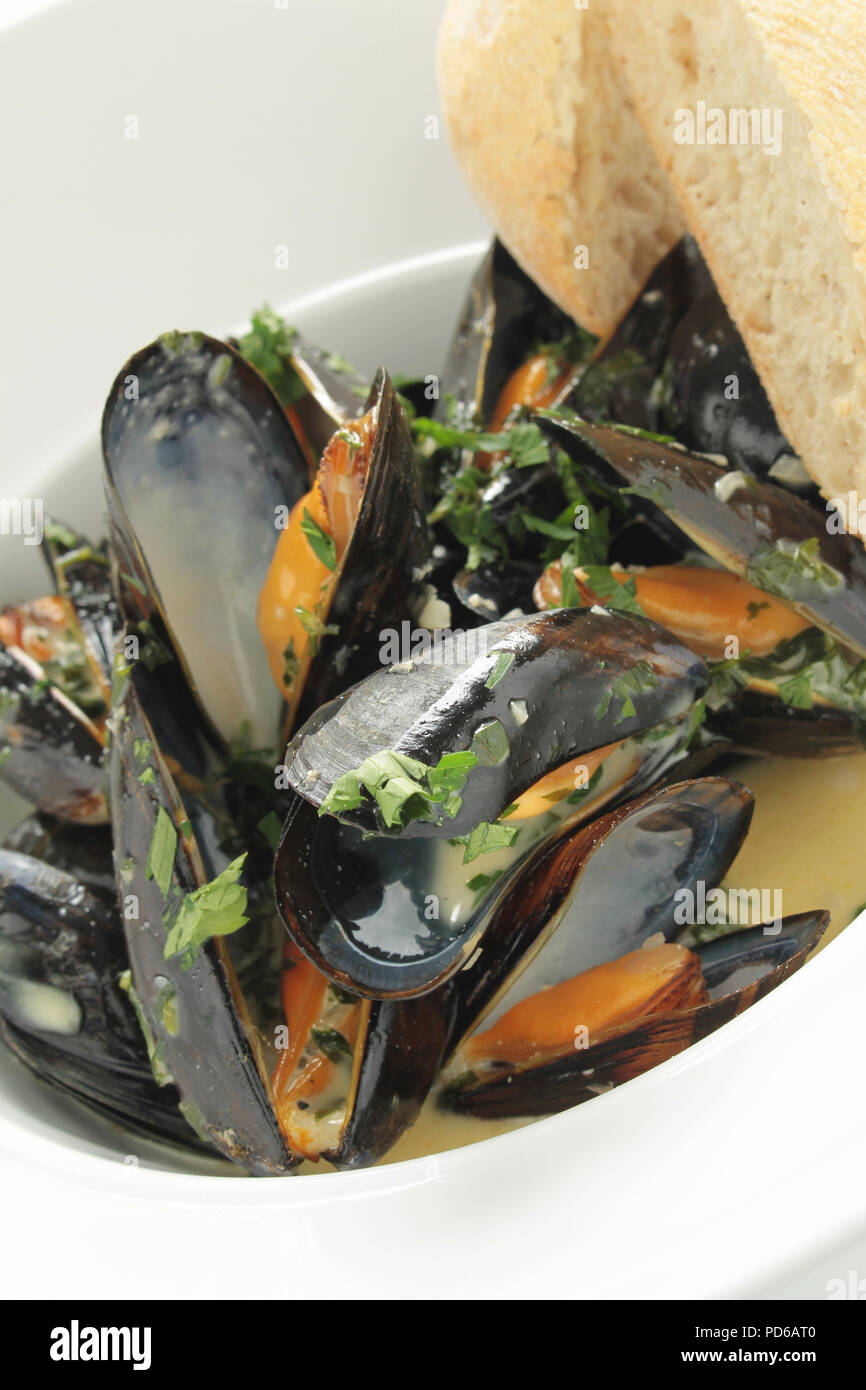 Plated mussels main hi-res stock photography and images - Alamy