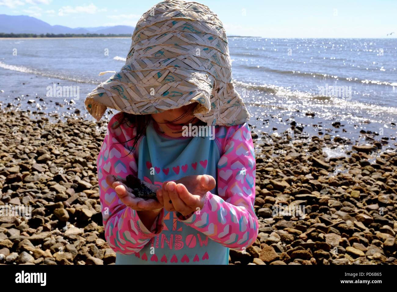 Finding creatures on the coast hi-res stock photography and images - Alamy