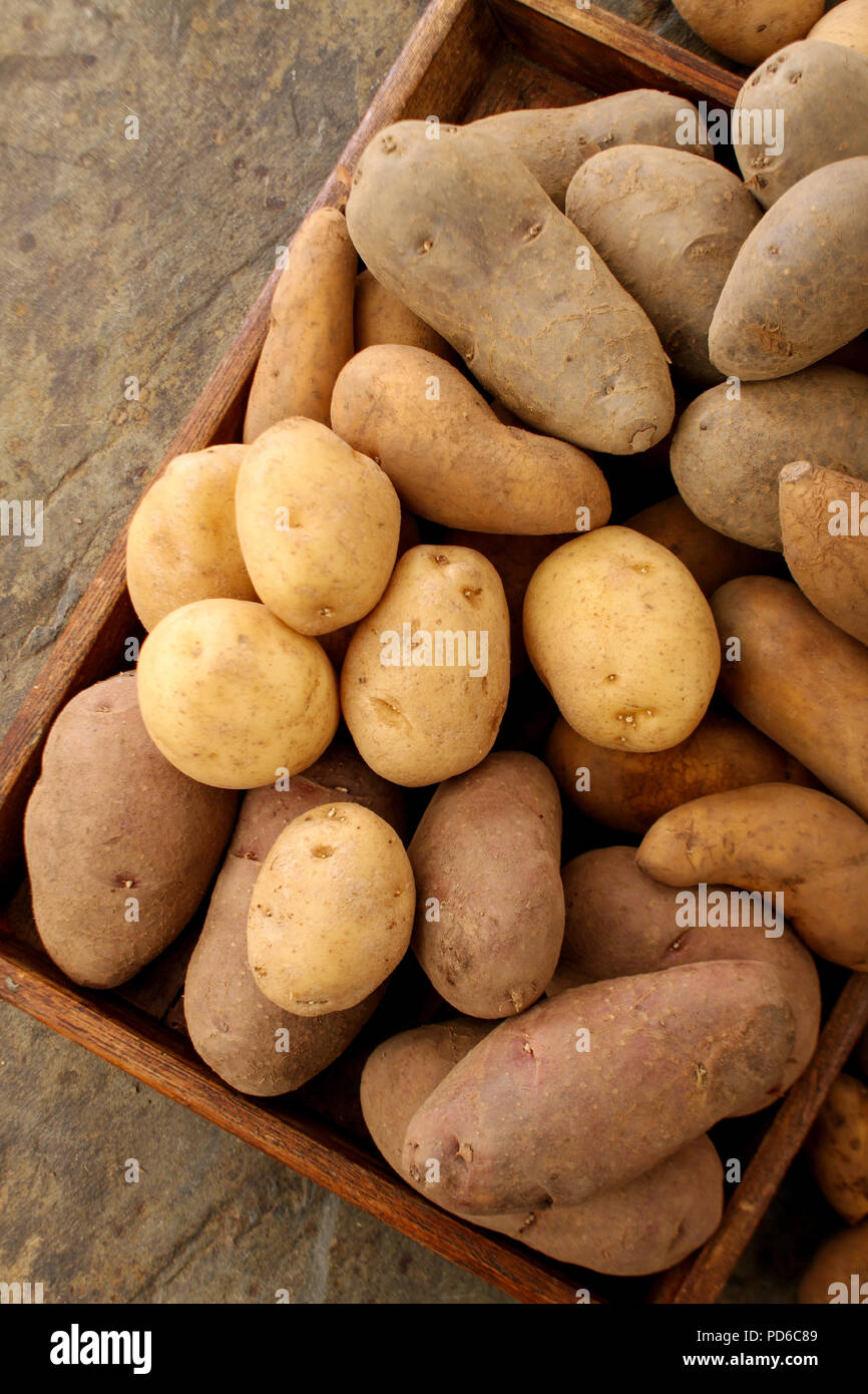 Mixed heritage potatoes hi-res stock photography and images - Alamy
