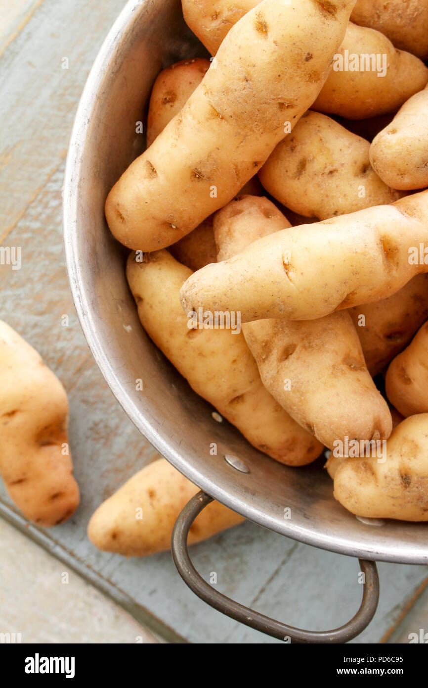 Heritage anya potatoes hi-res stock photography and images - Alamy